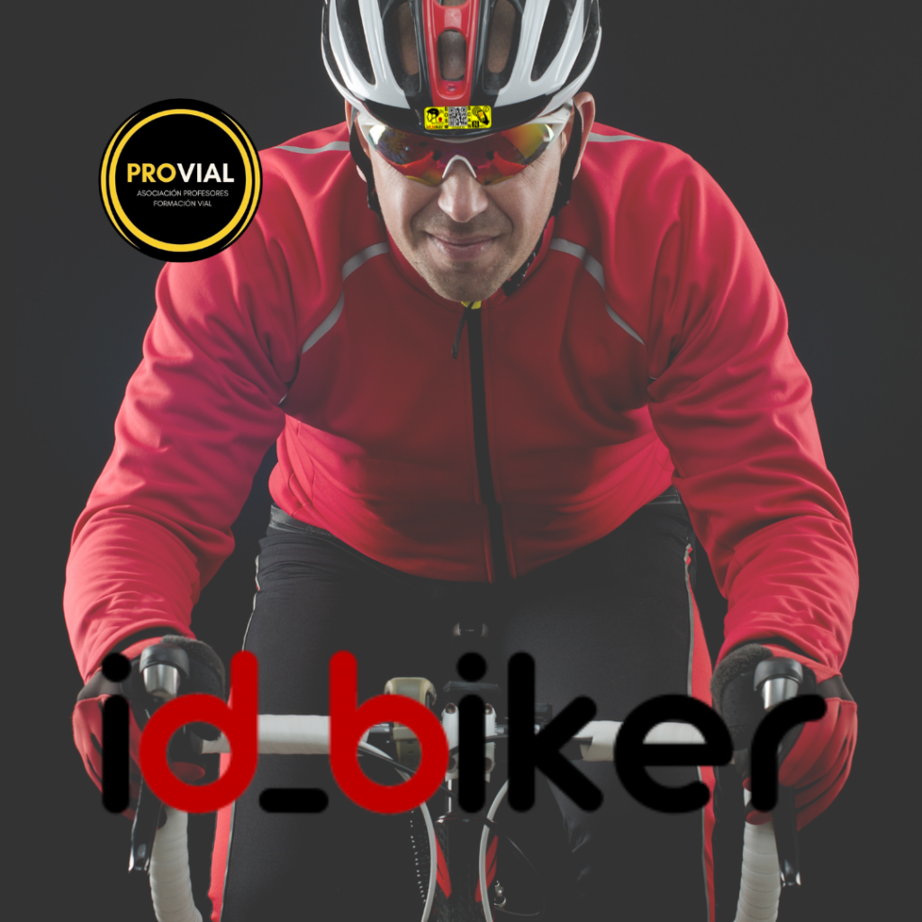 Actualidad - Provial